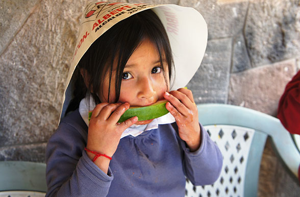 Presse – IKJH e.V.