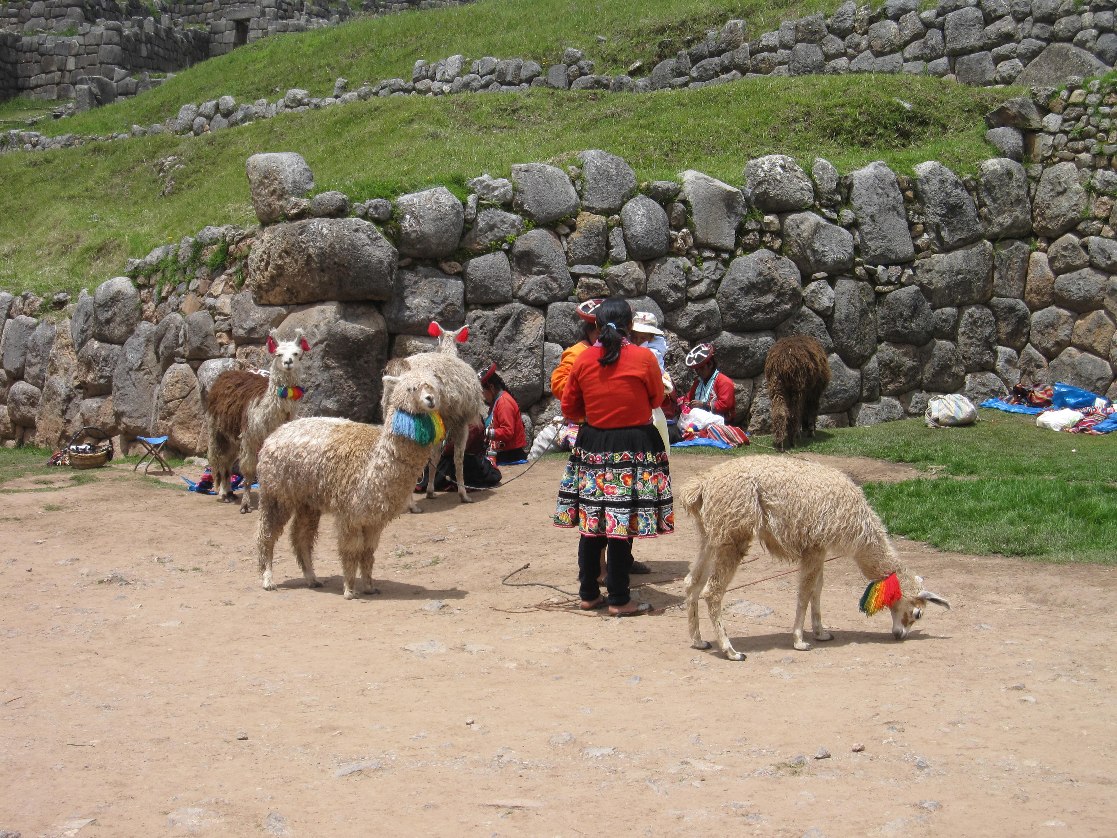 IKJH e.V. – Internationale Kinder- und Jugendhilfe